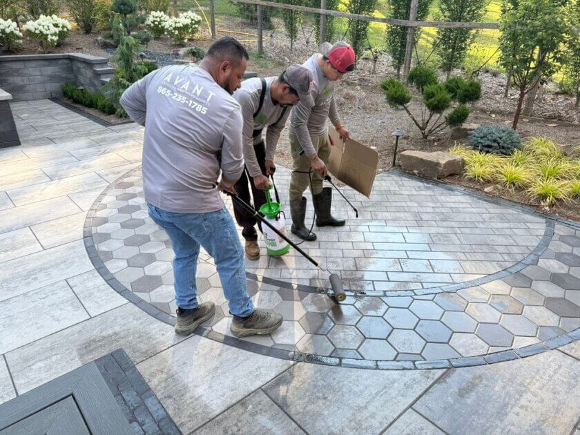 Home - Avant Gardens and Hardscapes I Knoxville, TN
